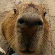 Иконка канала Хранитель