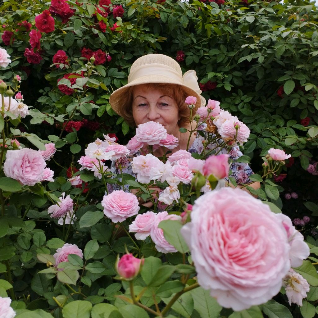 Иконка канала Красота роз на Урале