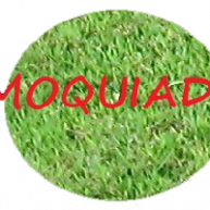 Иконка канала the colombian guy who records things