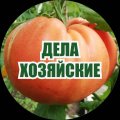Иконка канала Дела Хозяйские