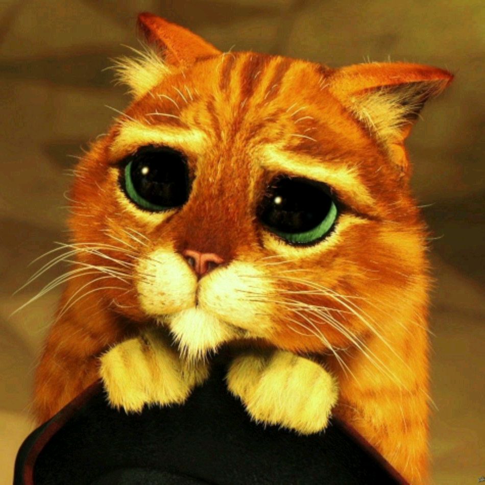 Иконка канала Django Freeman