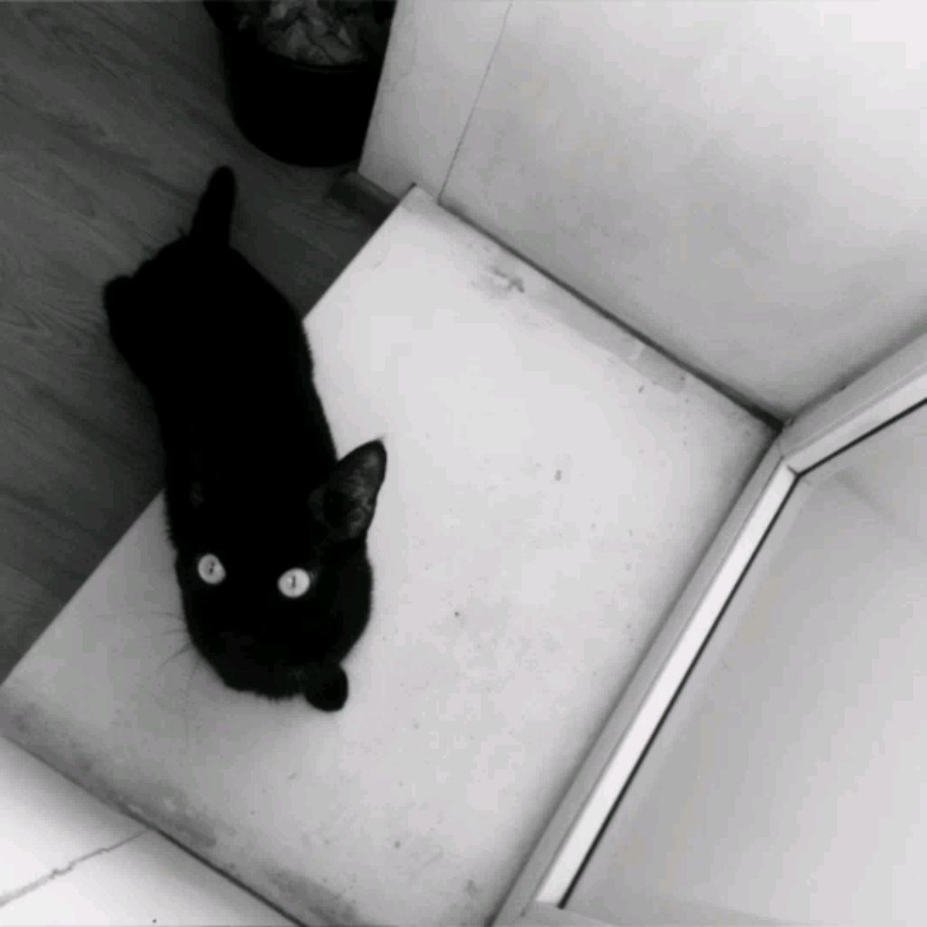 Иконка канала Tipok