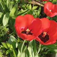 Иконка канала Семейные дела