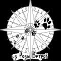 Иконка канала Из Розы Ветров питомник немецких овчарок