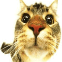 Иконка канала rutube_account_300565