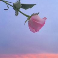 Иконка канала Apple_of_Sodom