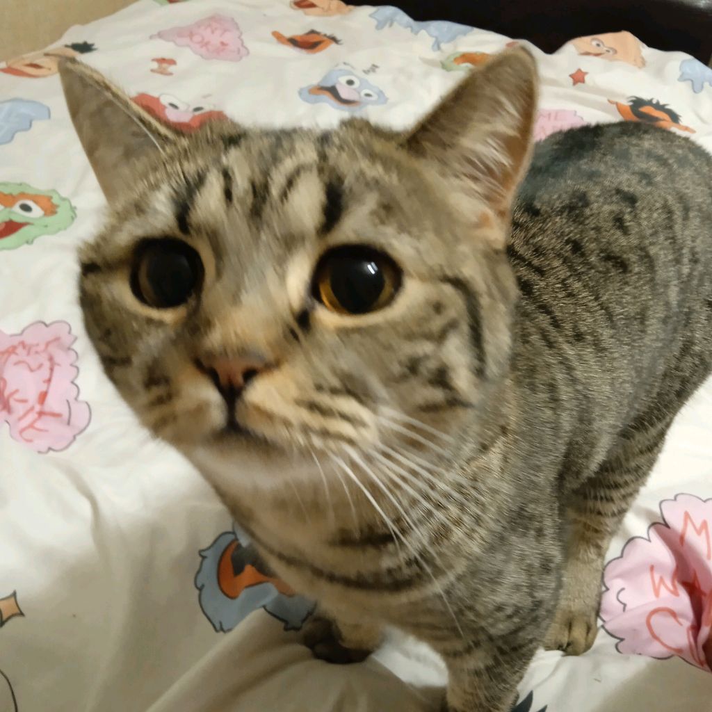 Иконка канала channel25018331