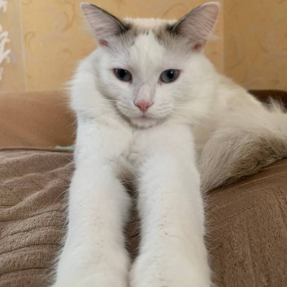 Иконка канала Ляпки