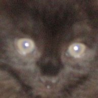 Иконка канала MISHGUN