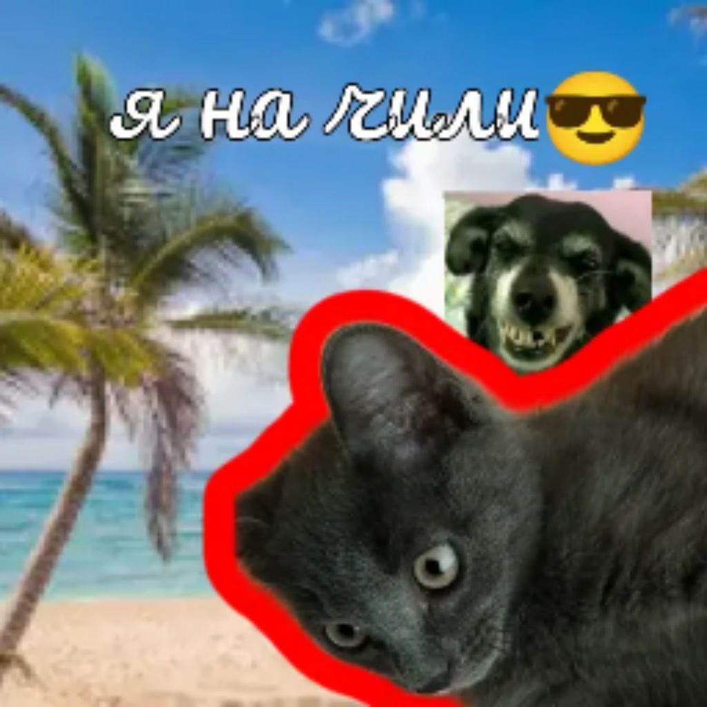 Виталик 777 на Rutube 2 видео смотреть онлайн и бесплатно 36131902