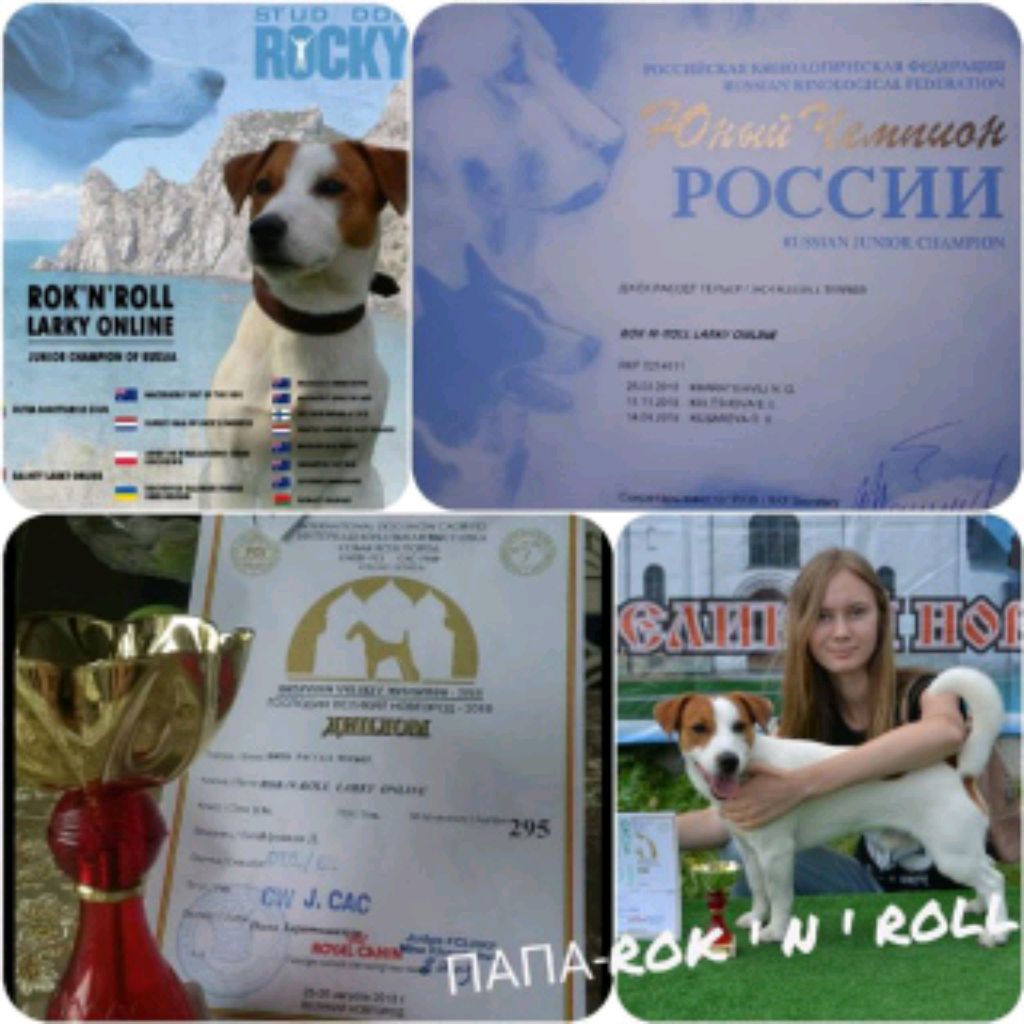 Иконка канала Джек-Рассел терьер Севастополь .Продажа щенков Дже