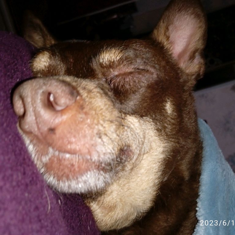 Иконка канала Арсени