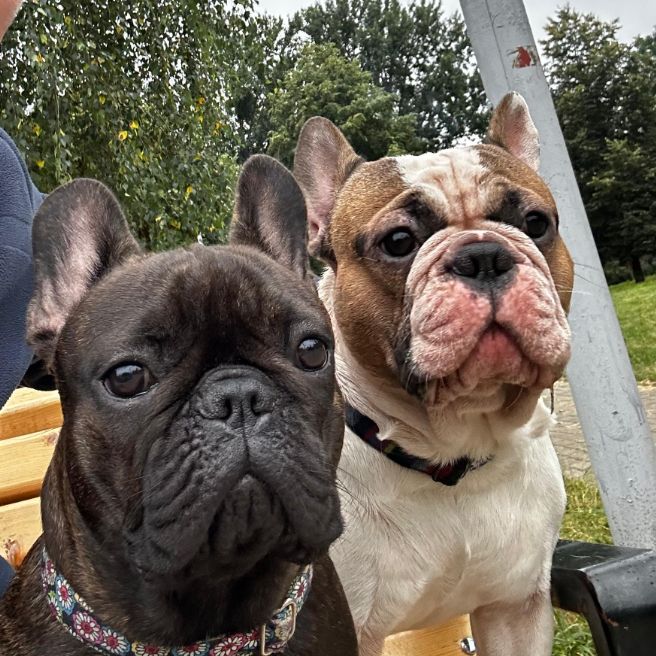 Иконка канала МарсиХанни