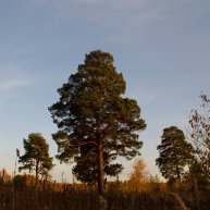 Иконка канала Russian folk