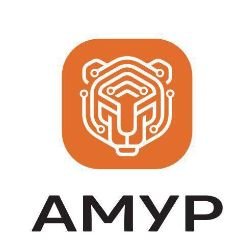 Иконка канала Амур Урал
