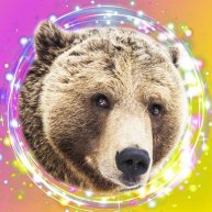 Иконка канала Медведь Мансур