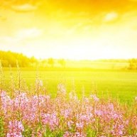 Иконка канала Евгений Сердюков