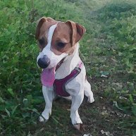 Иконка канала Dzherri corsac