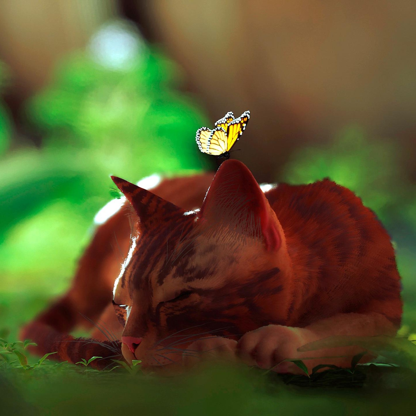 Иконка канала ShelKovitsa