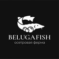 Иконка канала Осетровая ферма "Белугафиш"