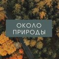 Иконка канала Около природы с Ренатом Исхаковым