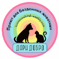 Иконка канала Дари добро Приют для животных Новосибирск