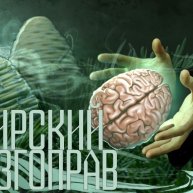 Иконка канала Сибирский Мозгоправ