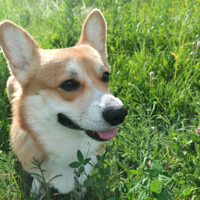 Иконка канала Андрей топ 😎🤑