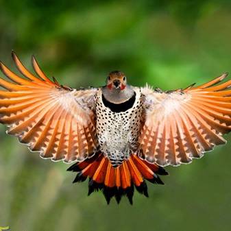 Иконка канала Просто канал! Просто человек!