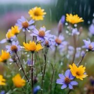 Иконка канала channel40033542