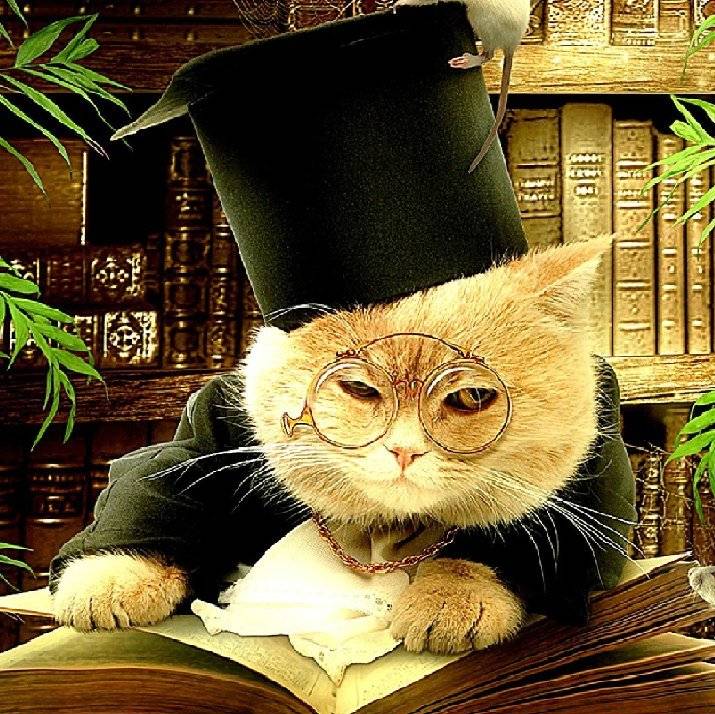 Иконка канала Котэ Саратовский