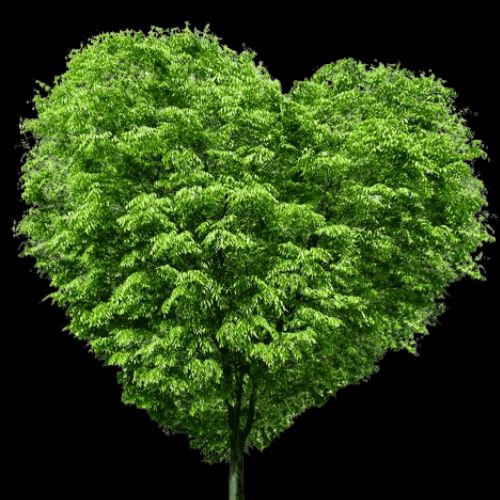 Иконка канала Gooo55