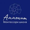 Иконка канала Монтессори-школа "Аммонит"