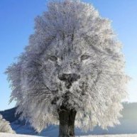 Иконка канала Трейдер SUPERSARX с Платформы CRYPTORG