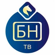 Иконка канала Бронницкие новости