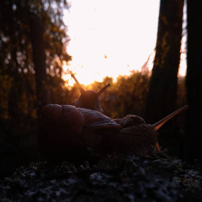 Иконка канала Ramdom