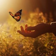 Иконка канала Надежда Лоскутова BFMrelax