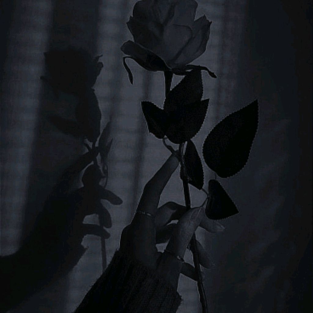 Иконка канала Хорёк