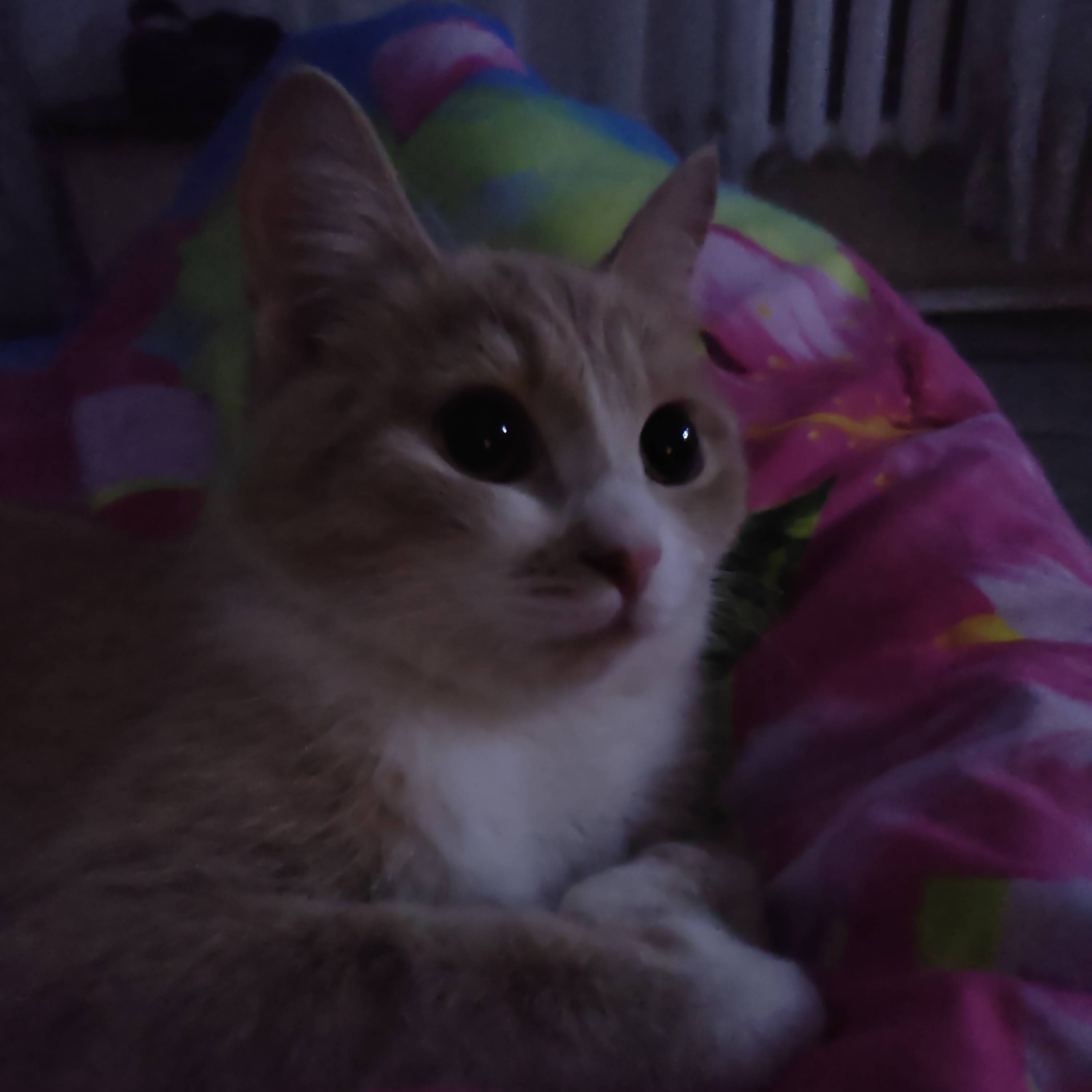 Иконка канала Iriska