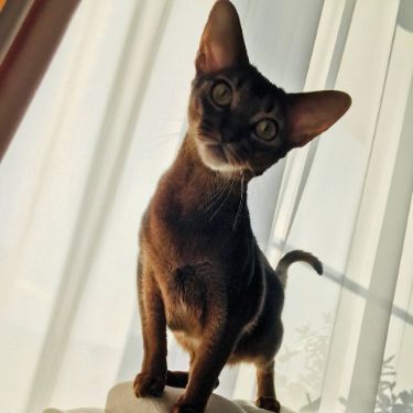 Иконка канала channel40494282