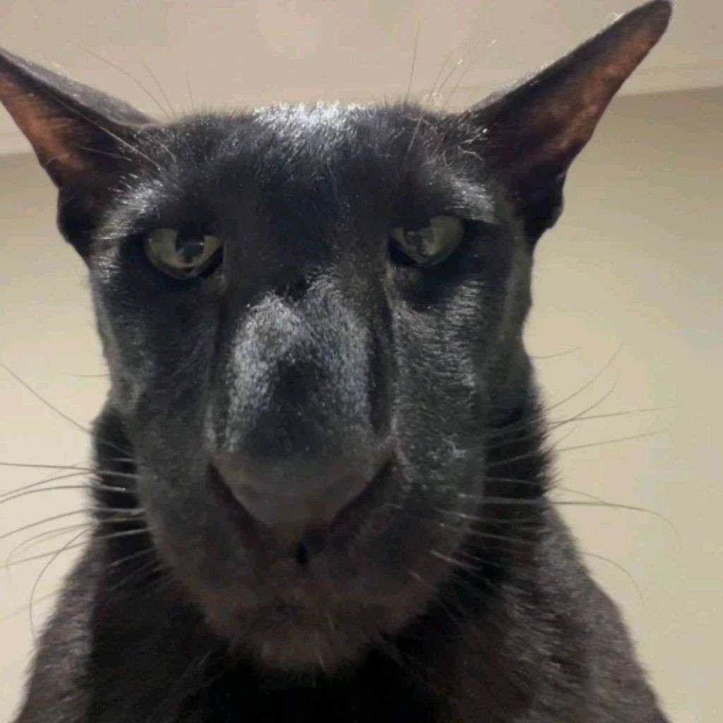 Иконка канала Maugli0808