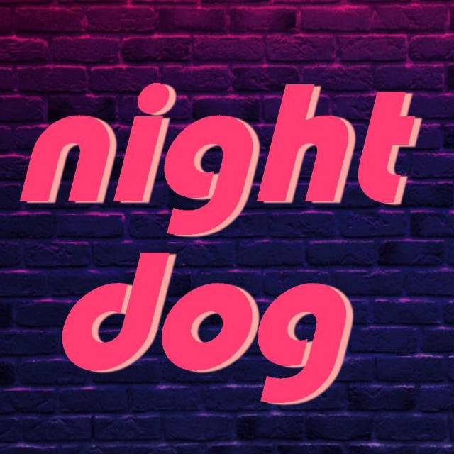 Иконка канала Night Dog