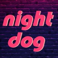 Иконка канала Night Dog