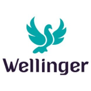 Иконка канала Wellinger