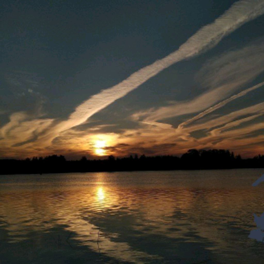 Иконка канала ДТП и ЧП | Ленинградская область Он-Лайн