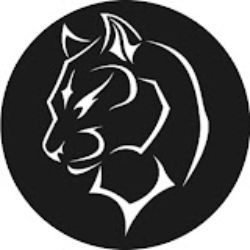 Иконка канала WHITE-PANTER.RU