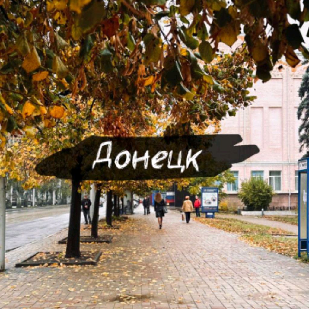 Иконка канала Донецкая группа новостей