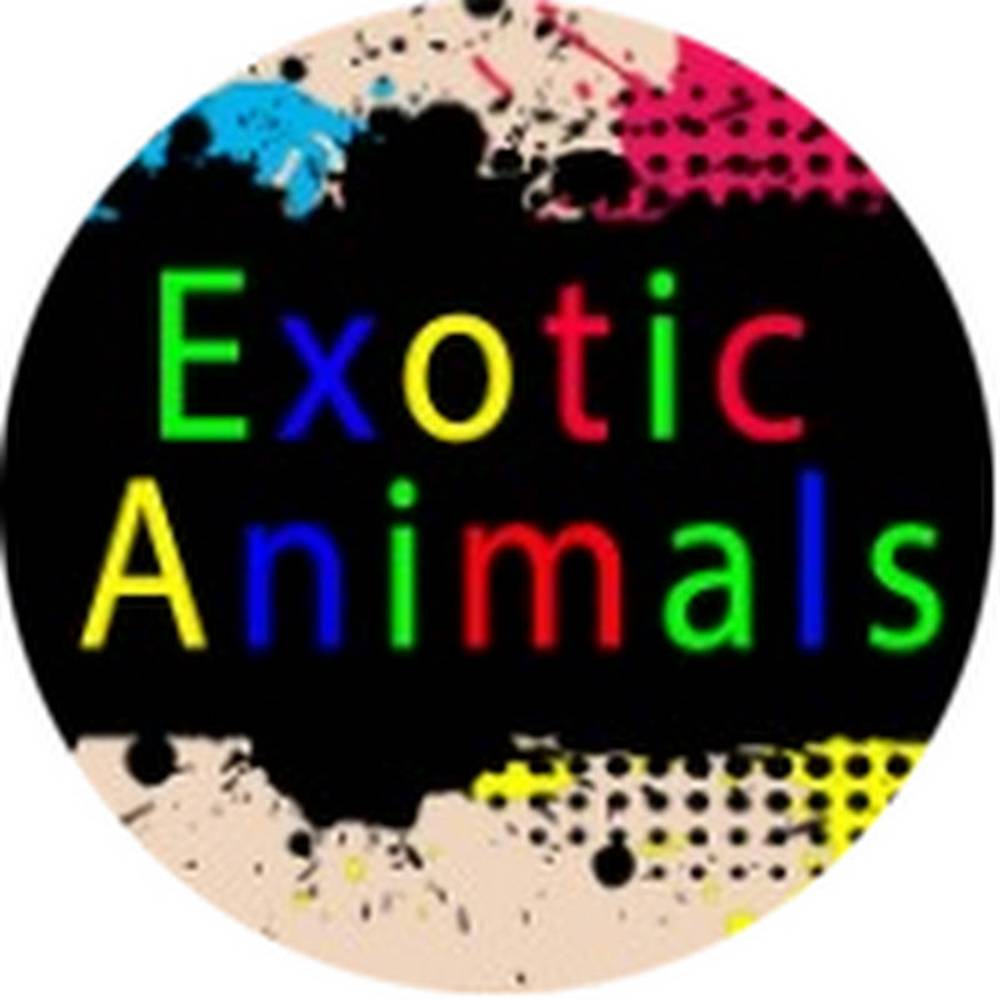 Иконка канала Exotic Animals