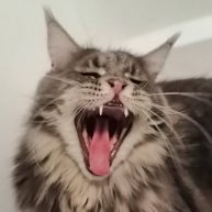 Иконка канала Genry_Like