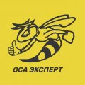 Иконка канала osaexpert